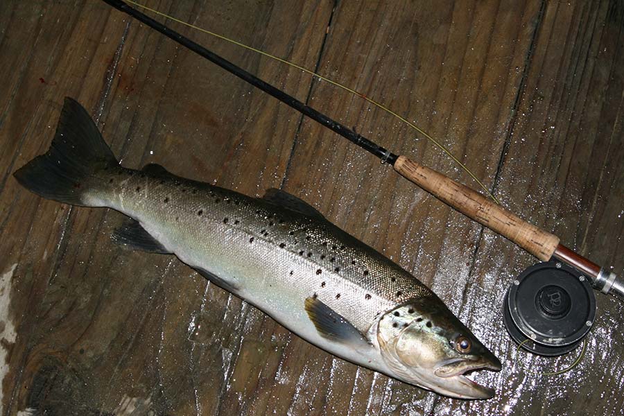 Winter Fishing in the Alps - The Fishing Website