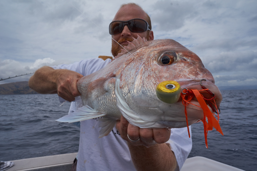 20 top tips for jigging - The Fishing Website