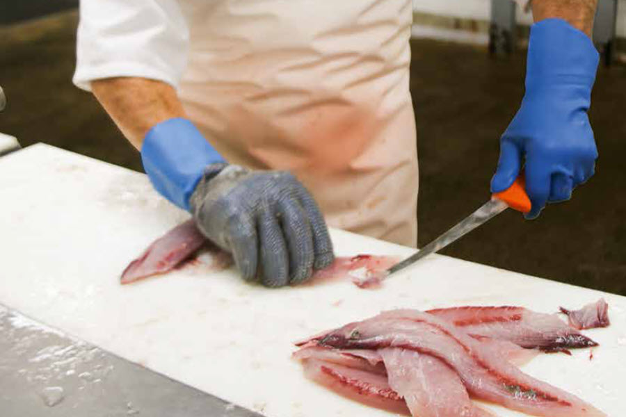 Filleting fish - The Fishing Website