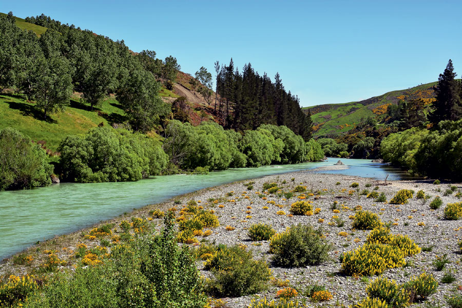 Autumn trout fishing in New Zealand's South Island - The Fishing Website