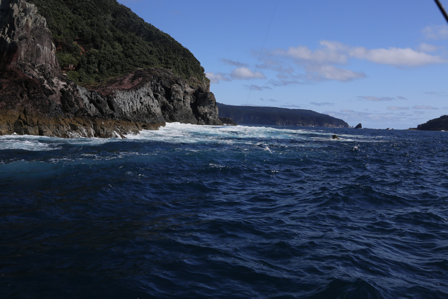 Catching big snapper - top tips with bait and berley - The Fishing Website