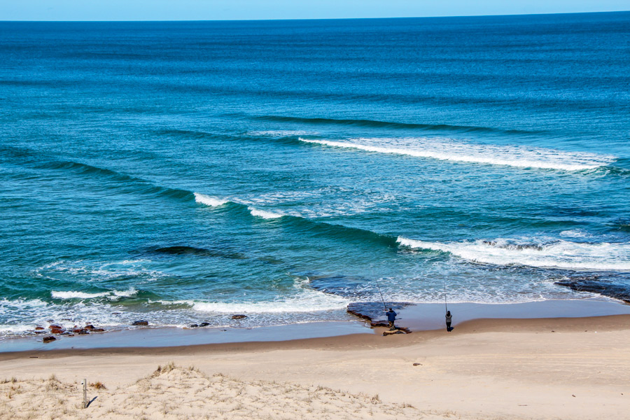 Catching kahawai from the shore - The Fishing Website