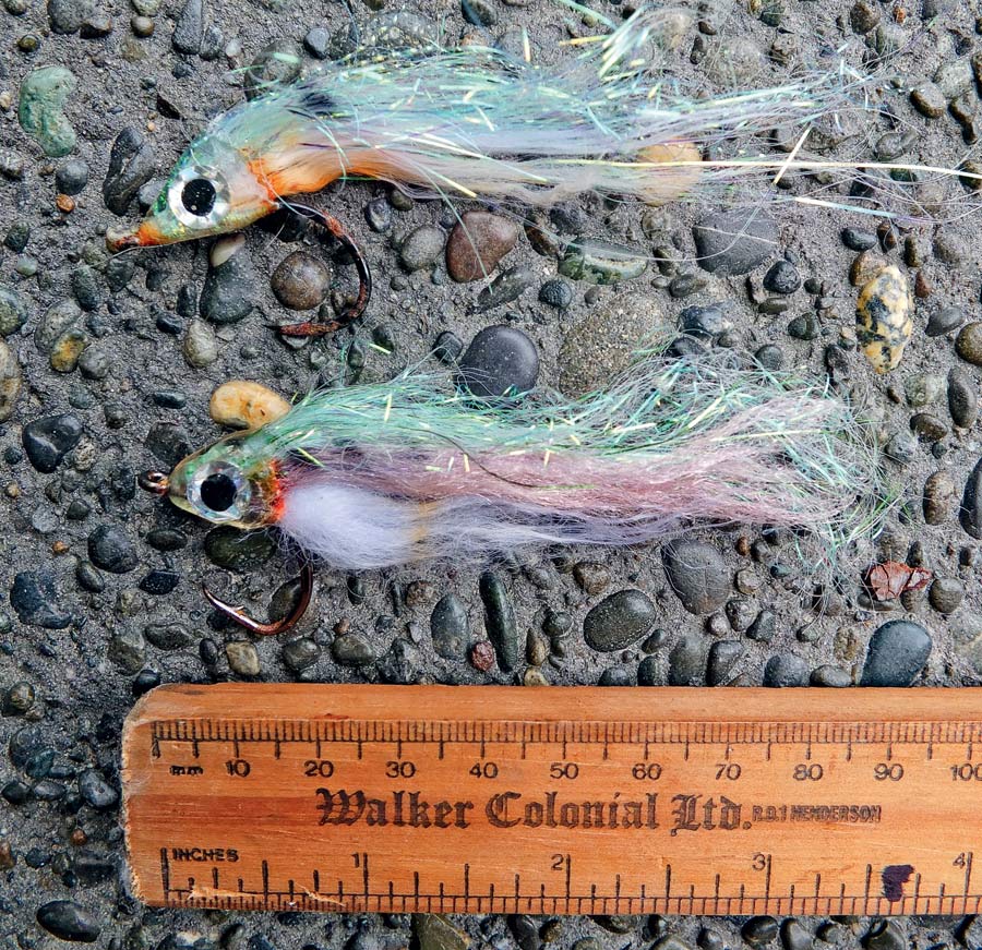 Catching kingfish on salt fly tackle - The Fishing Website