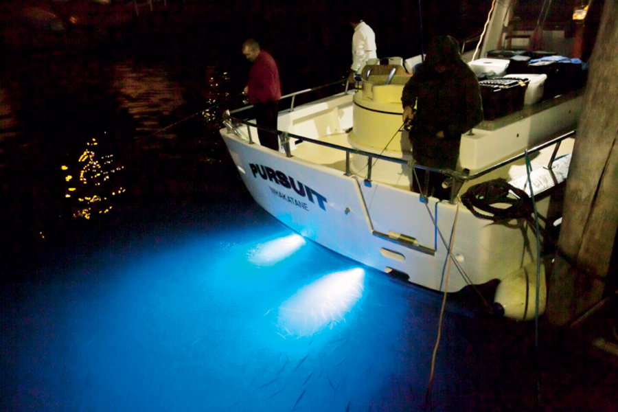 Catching Piper - The Fishing Website