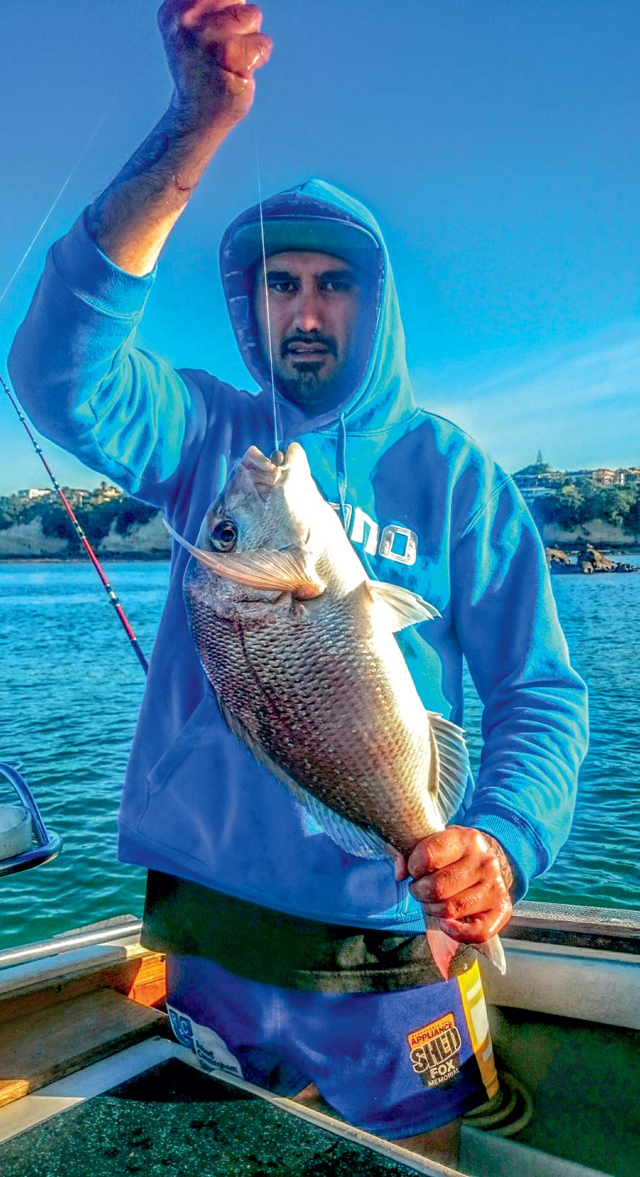 Fishing in Auckland Harbour - The Fishing Website