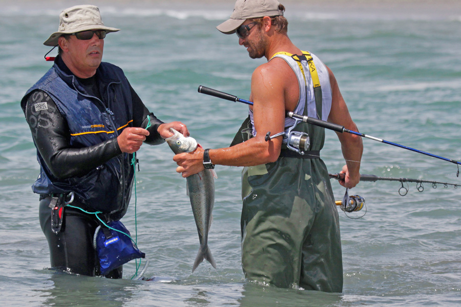 Gathering seafood - The Fishing Website