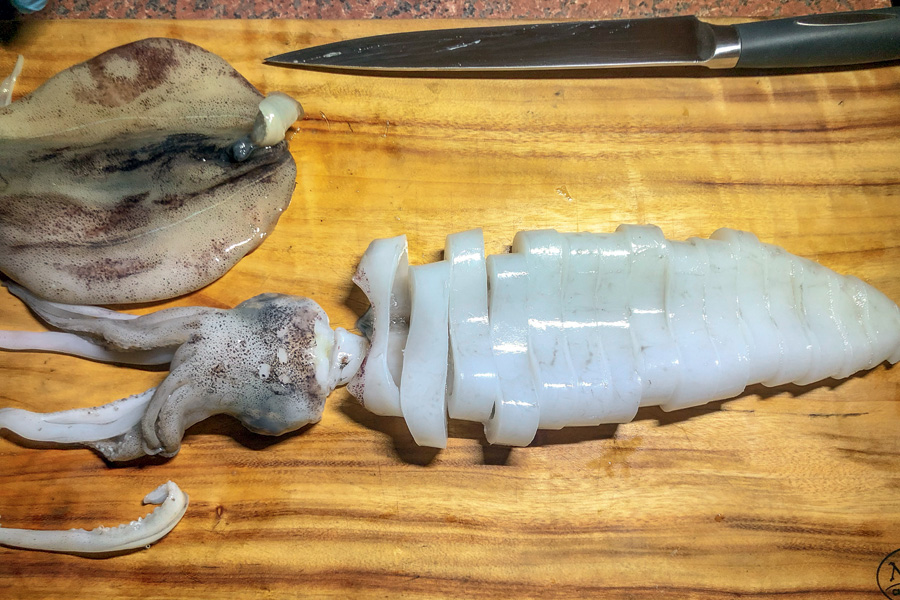 Handling calamari - The Fishing Website