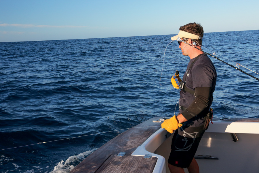 Hollow braided lines - The Fishing Website