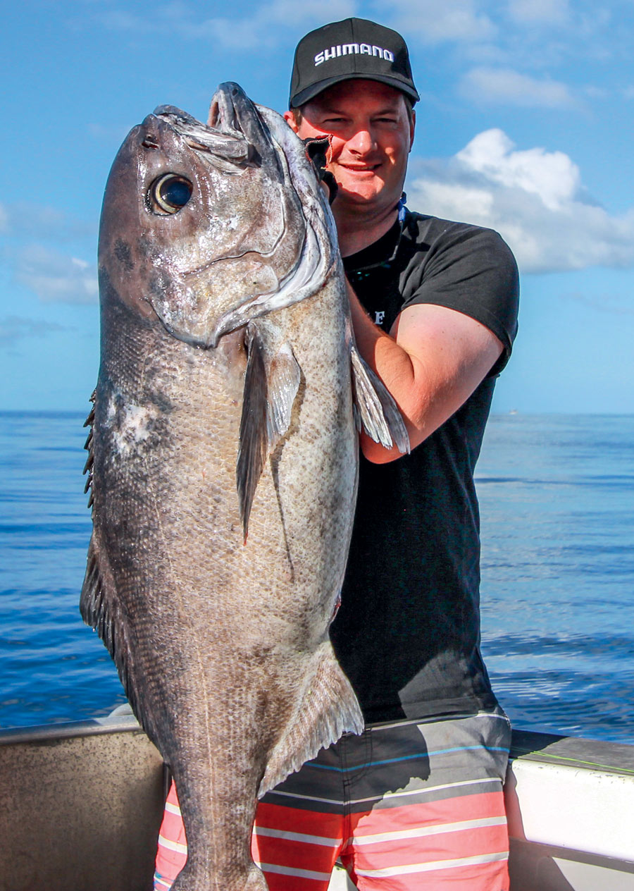 How to catch bluenose and bass - The Fishing Website