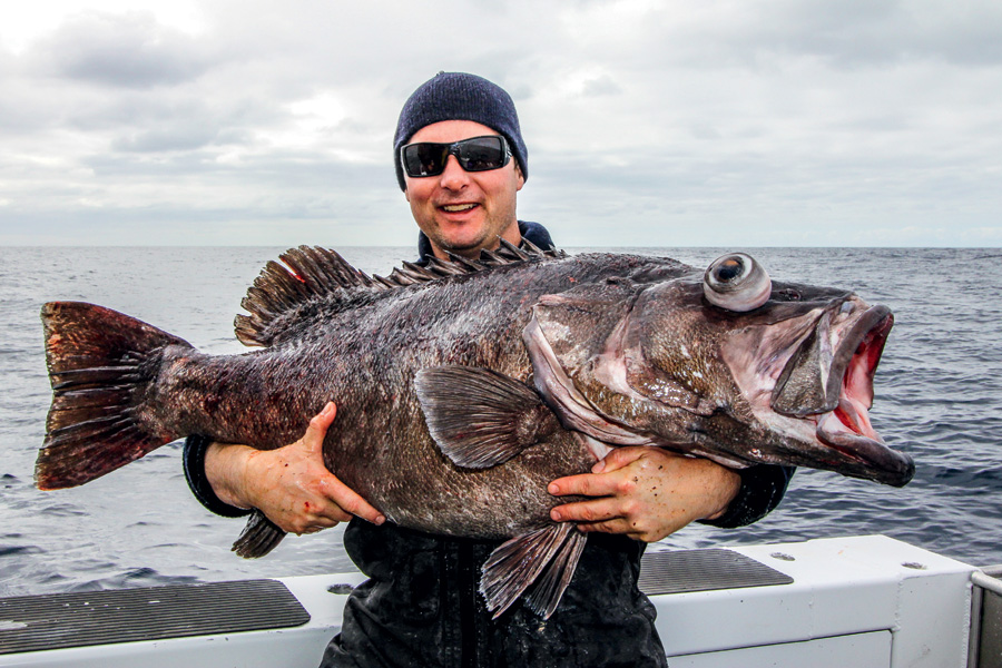 How to catch bluenose and bass - The Fishing Website