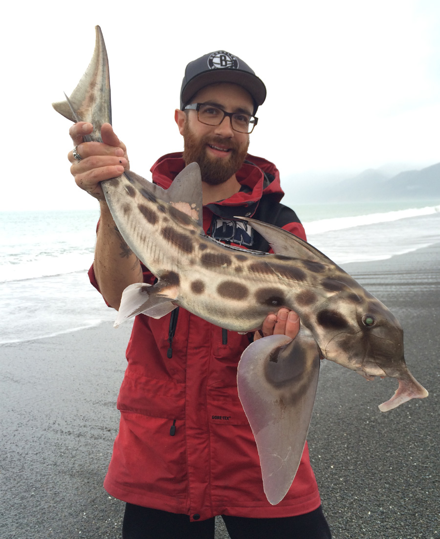 How to catch elephant fish - The Fishing Website