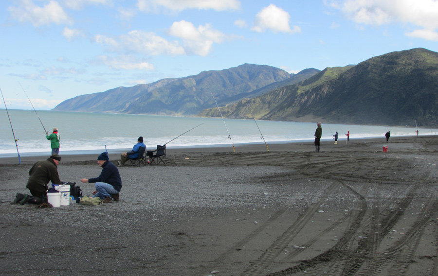 How to catch elephant fish - The Fishing Website