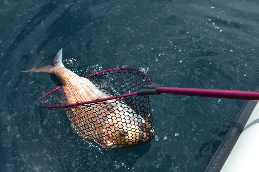 How to catch more fish - The Fishing Website