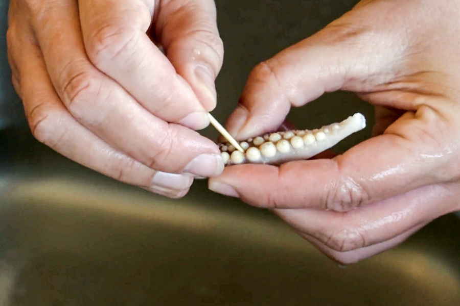 How to mount a snapper jaw - The Fishing Website