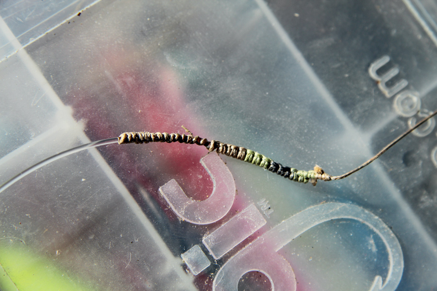 How to set up a new fishing rod and reel set - The Fishing Website