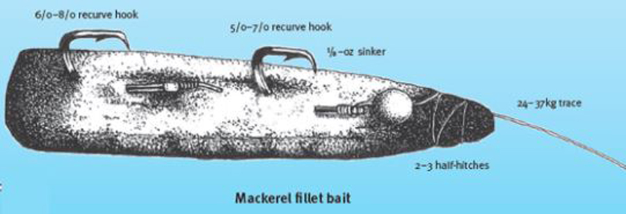 How to use slimy mackerel - The Fishing Website