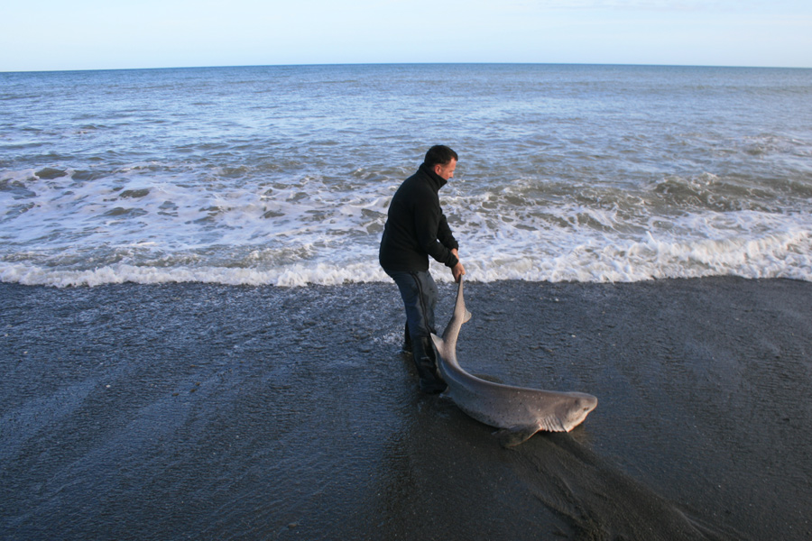 Land-based fishing - tips for catching big fish - The Fishing Website