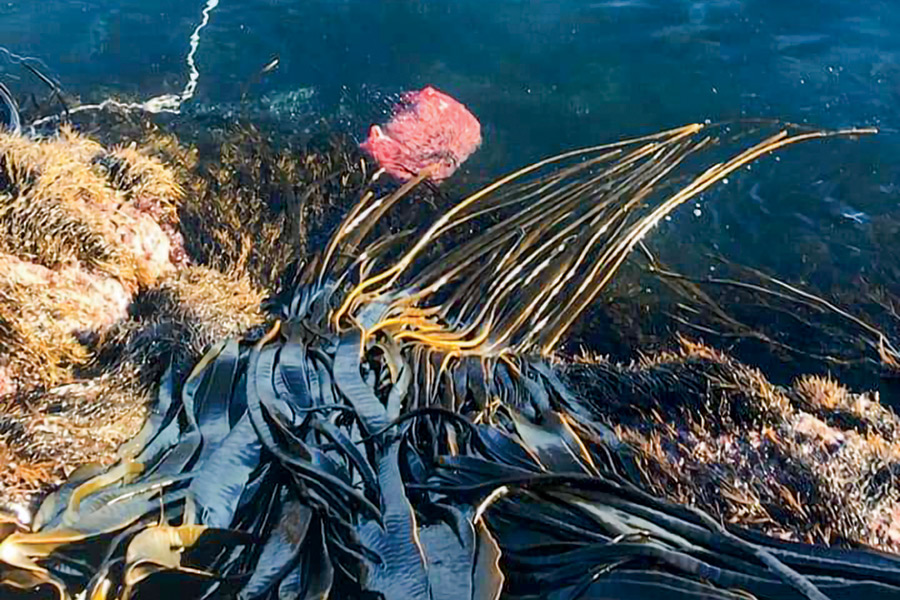 Landbased fishing in spring - The Fishing Website