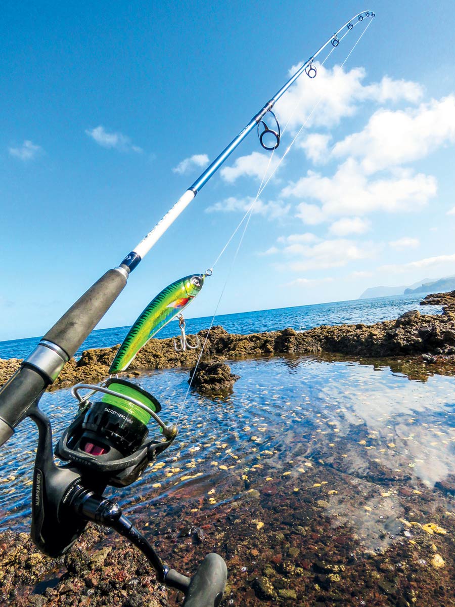 Landbased Fishing in Summer: Part 1 - The Fishing Website