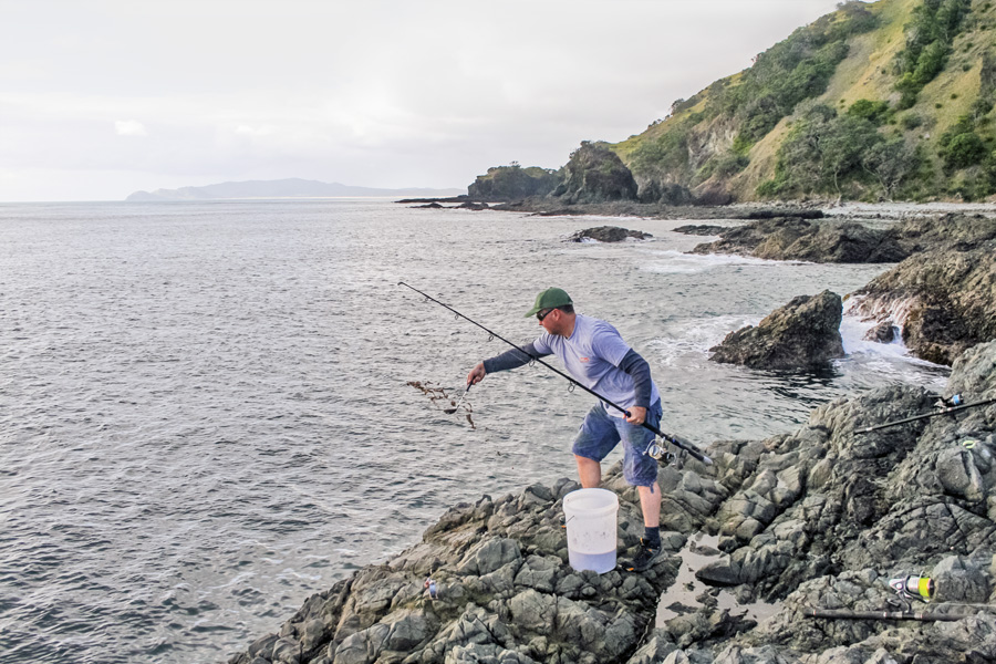 How To Use Berley When Landbased Fishing - The Fishing Website