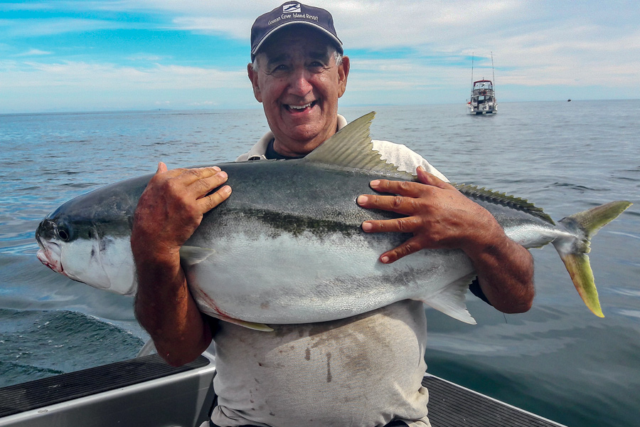 Livebaiting for kingfish part 2 - The Fishing Website
