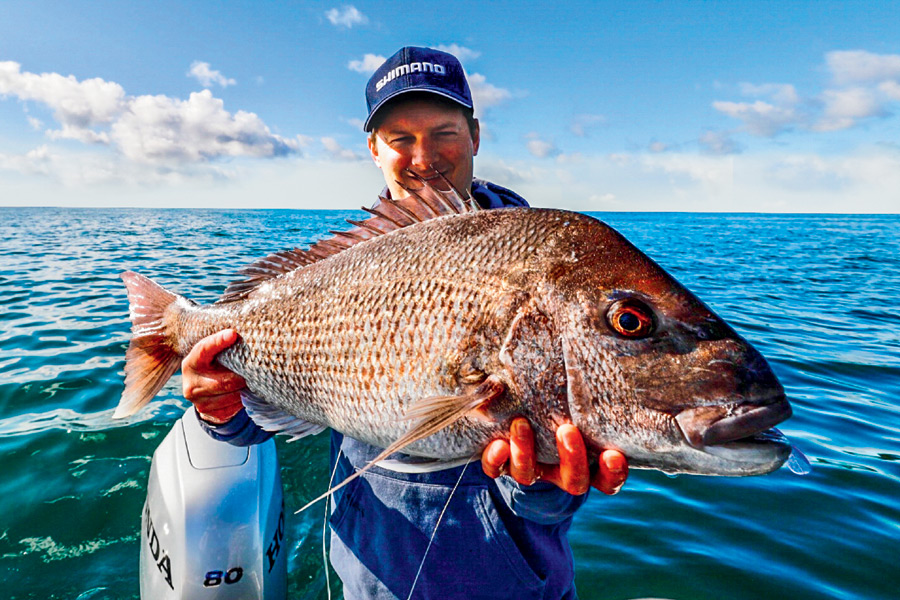 Livebaiting for Kingfish - Tips and Techniques - The Fishing Website