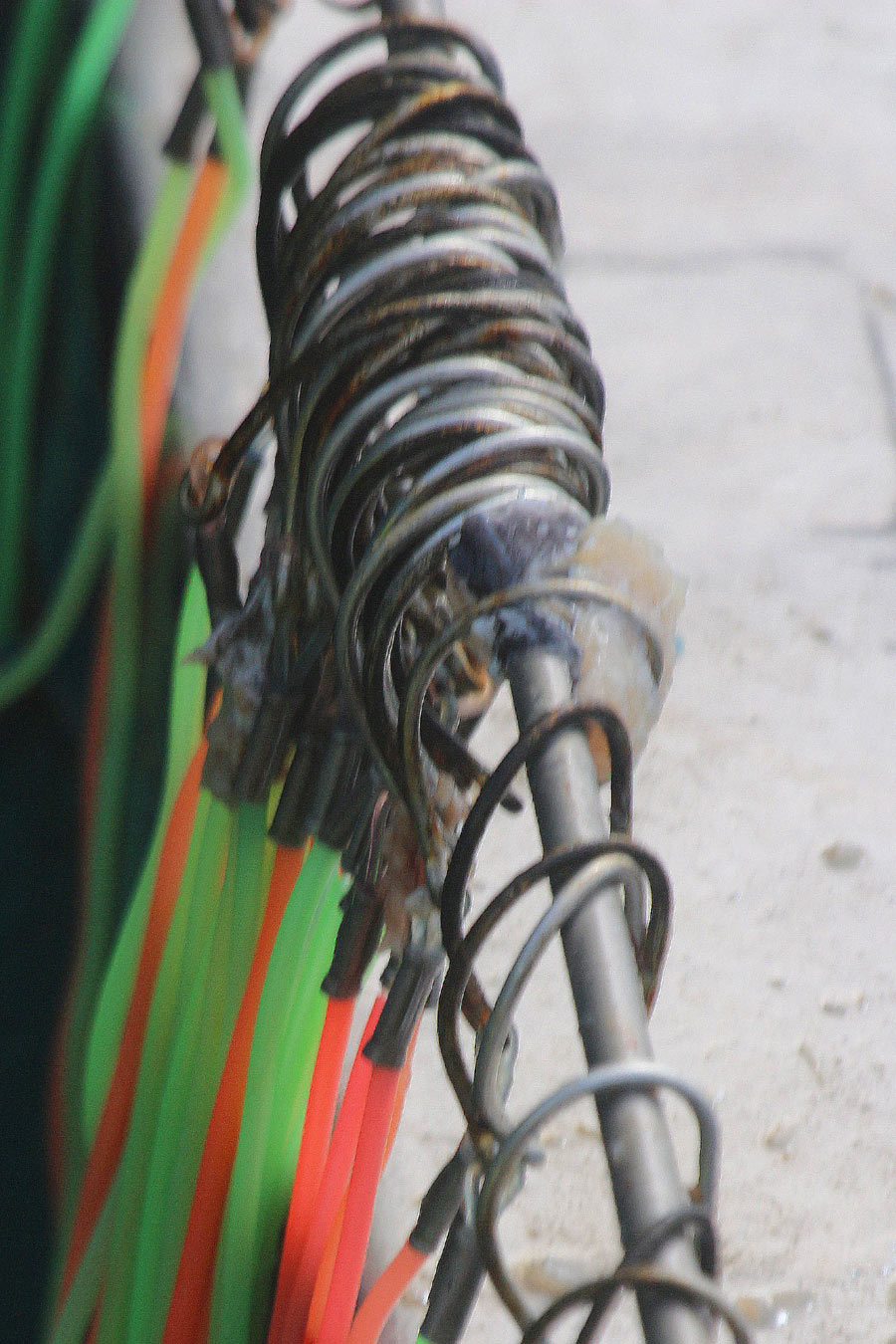 Long-lining tips and techniques - The Fishing Website