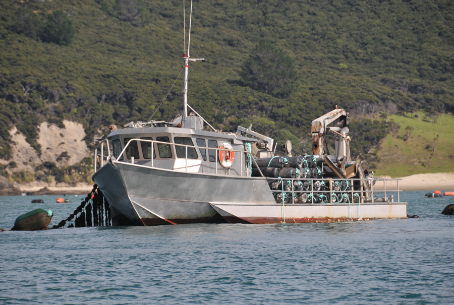 Making berley - The Fishing Website