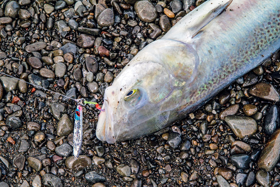 Learning how to fish with lures - The Fishing Website
