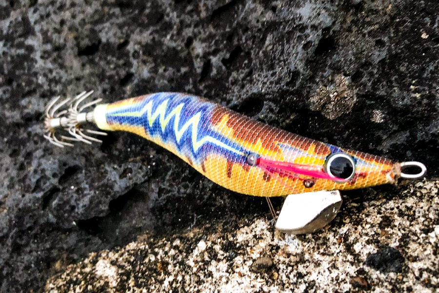 Setting up for Squidding - The Fishing Website