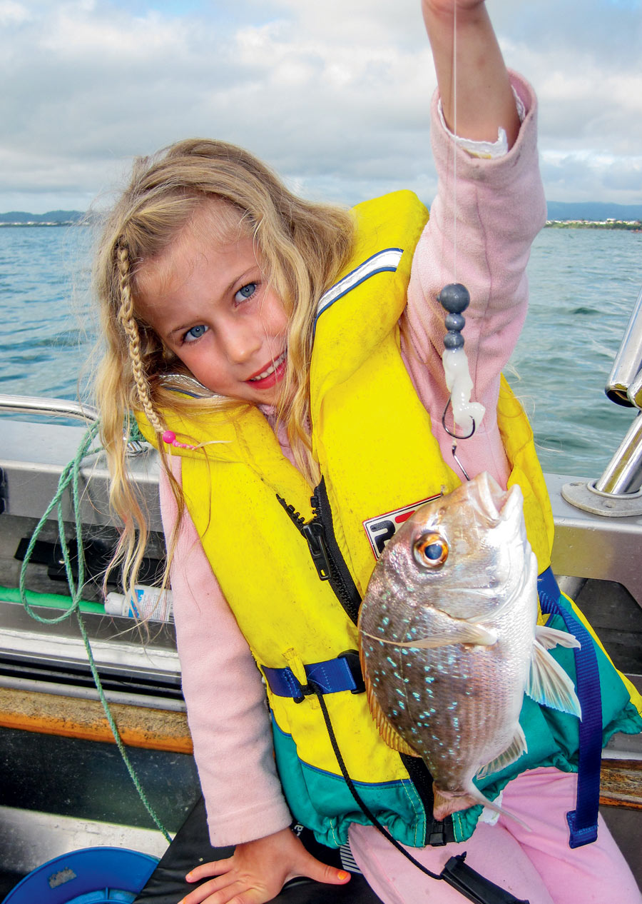 Snapper for beginners - The Fishing Website