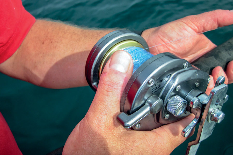 Snapper for beginners - The Fishing Website