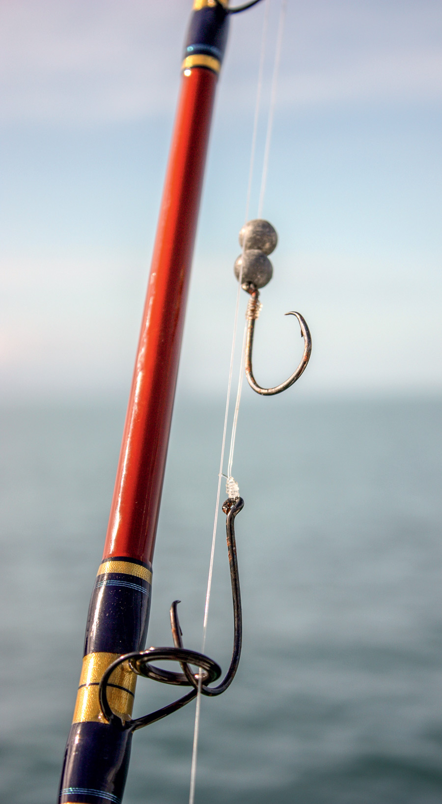 Snapper for beginners - The Fishing Website