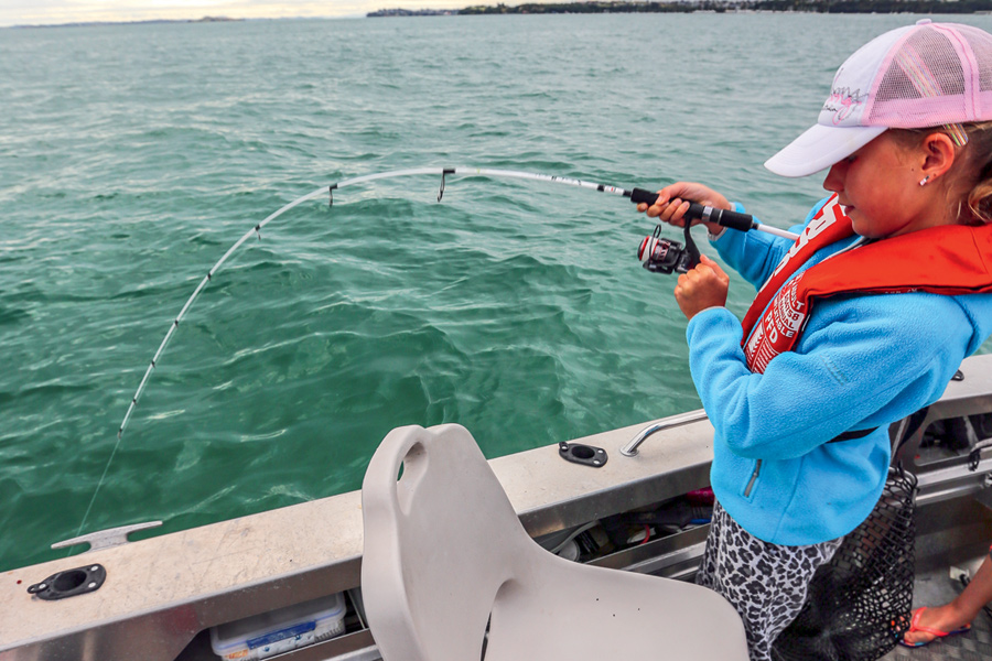 Snapper for beginners - lures - The Fishing Website