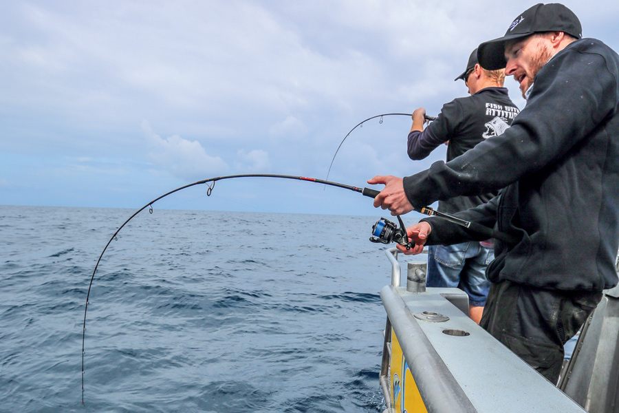 Snapper for beginners - lures - The Fishing Website