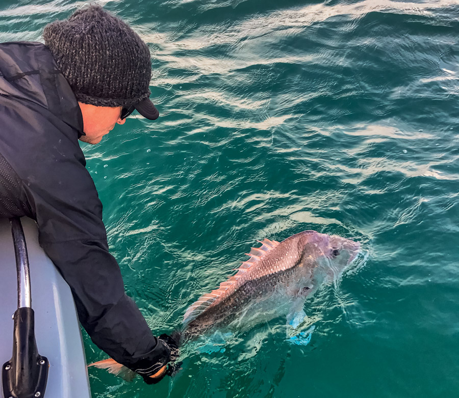 How to Soft-bait Fish The Wash - The Fishing Website