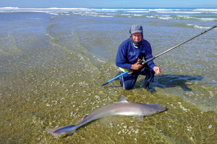 The importance of leader and trace when fishing - The Fishing Website