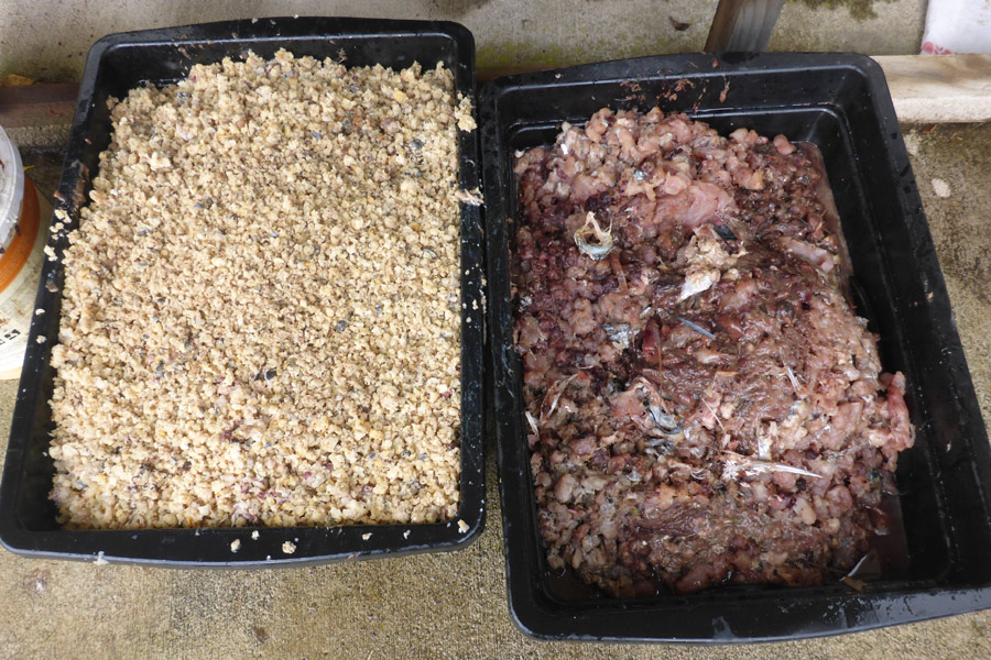 Tips and tricks for making your own Berley - The Fishing Website