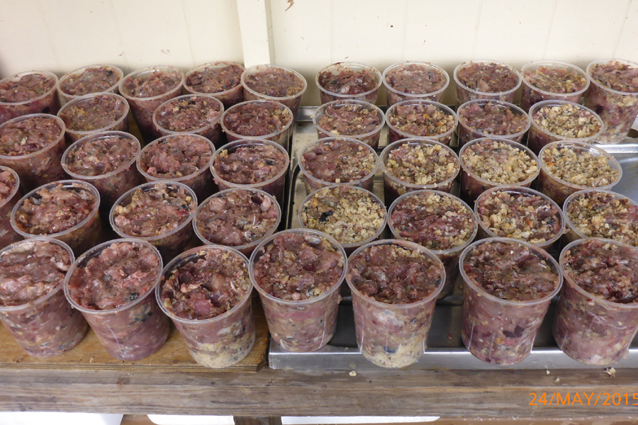 Tips and tricks for making your own Berley - The Fishing Website