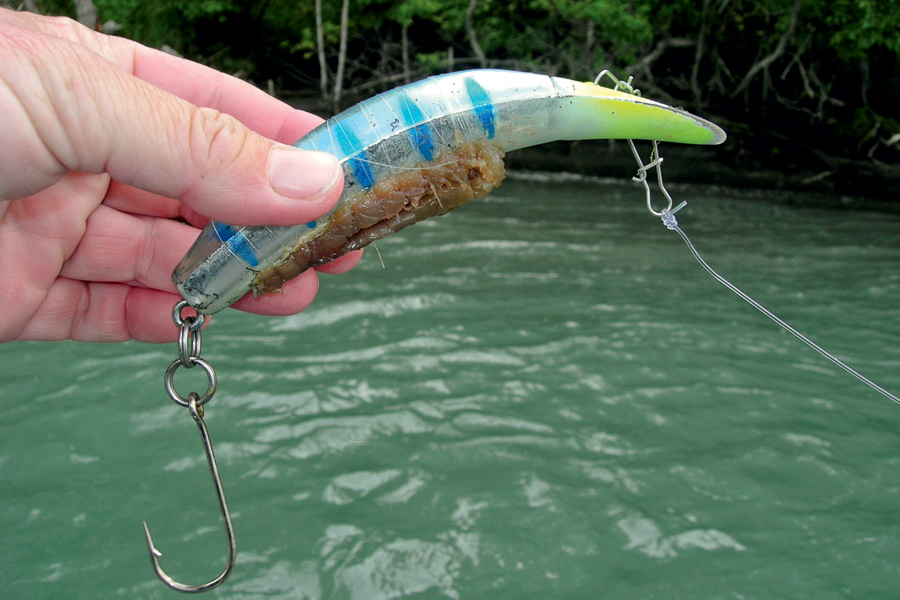What scents work best for fishing - The Fishing Website