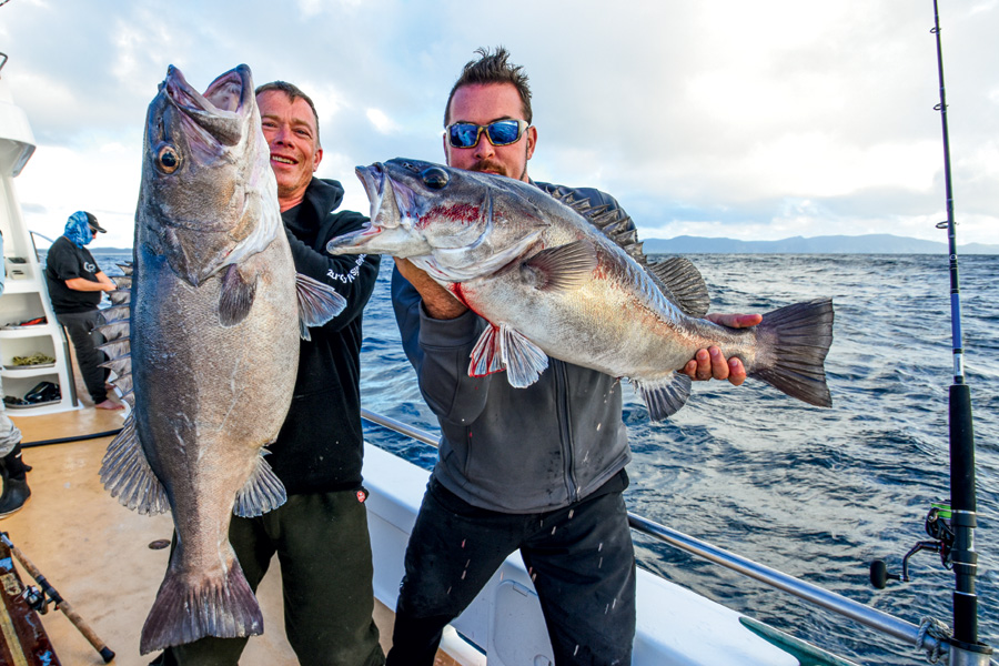 What Trace to Use? - The Fishing Website