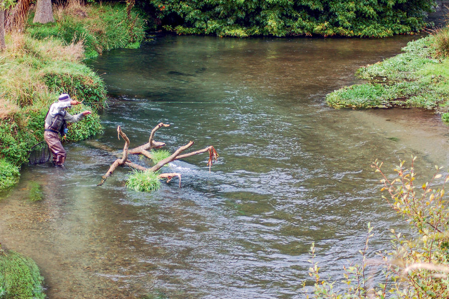 What Trace to Use? - The Fishing Website