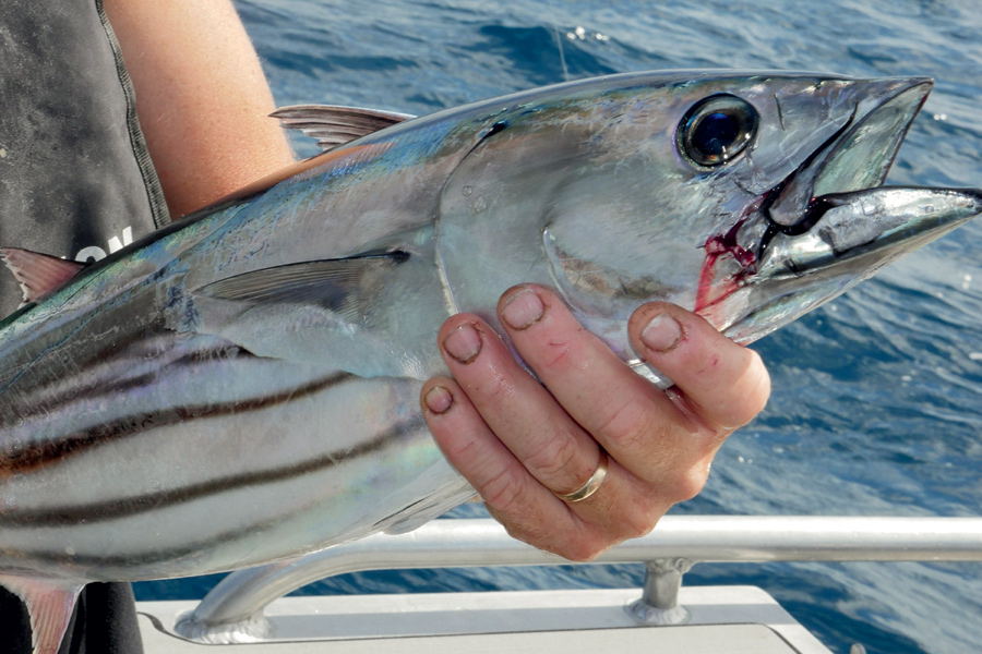 Winter fishing tips and tricks - The Fishing Website