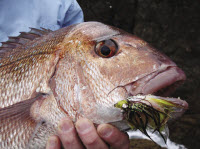 Fly Fishing - Bulky Flies & Lateral Lines - The Fishing Website