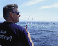 Madai and Inchiku Jigging Part 2 - The Fishing Website