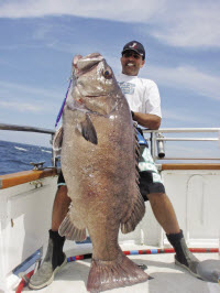 Jigging - Fighting fish on jigs - The Fishing Website