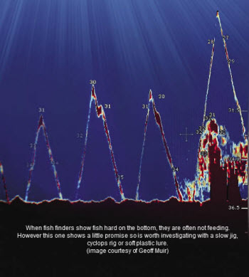 How to find active fish - The Fishing Website