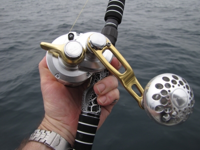 Shimano Talica 8 review - The Fishing Website