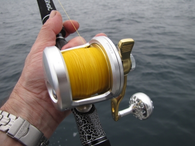 Shimano Talica 8 review - The Fishing Website