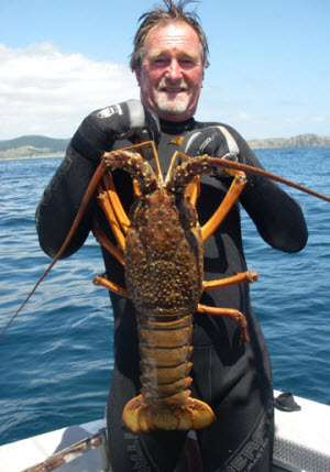 Spearfishing & Diving - Crayfish Hunting Techniques - The Fishing Website